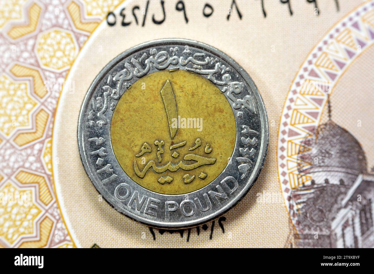 Reverse side date and value of Egyptian 1 LE EGP One Egyptian pound ...