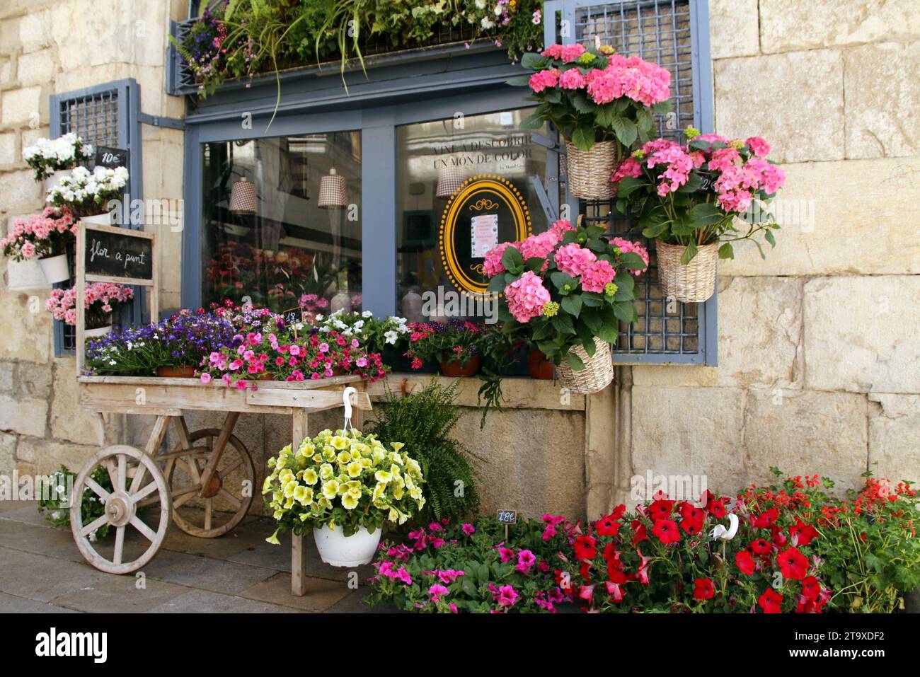 The flowers are on display in front of the store Stock Photo - Alamy
