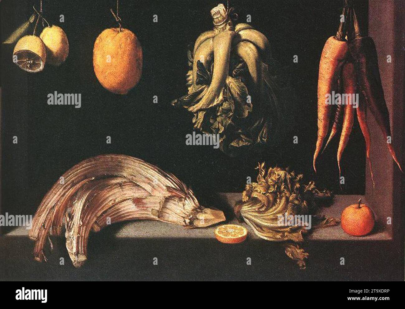 Cotan still life hi-res stock photography and images - Alamy