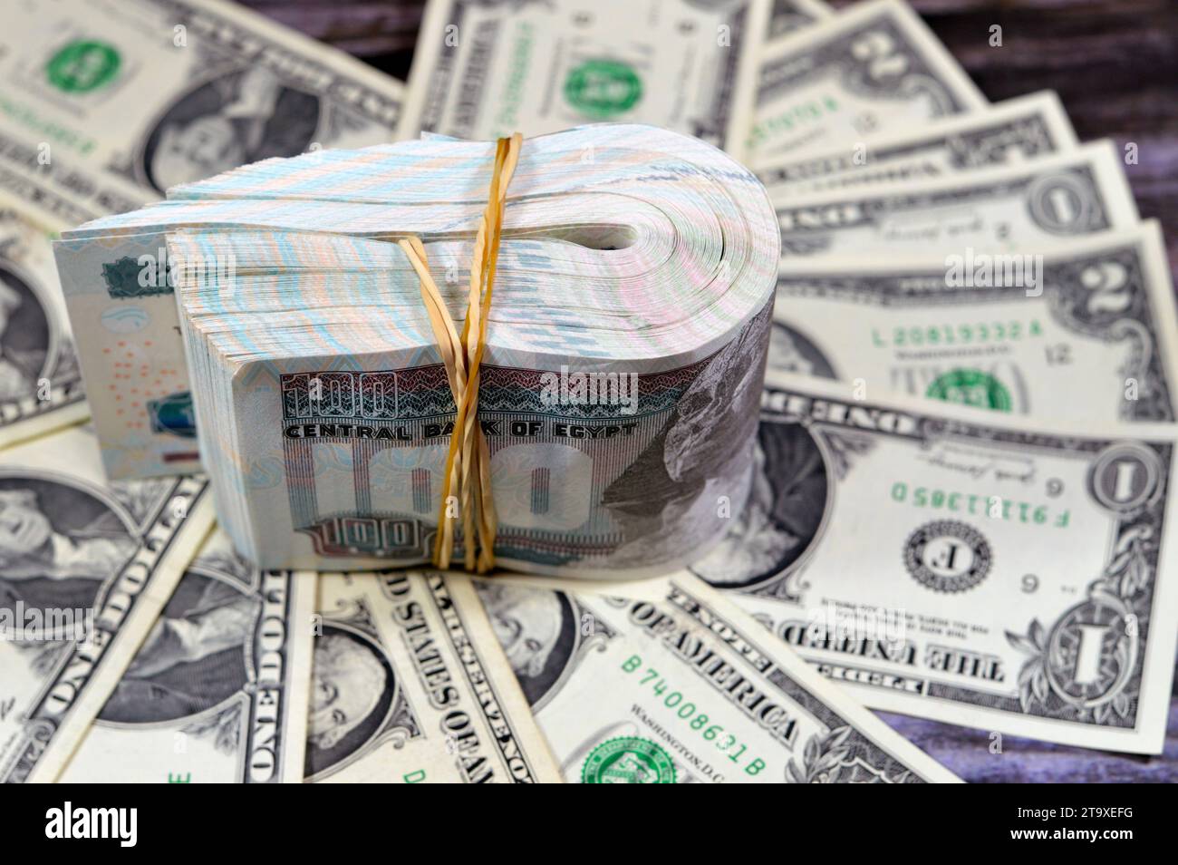 stack of Egypt money banknote bills of 100 EGP LE one hundred Egyptian ...