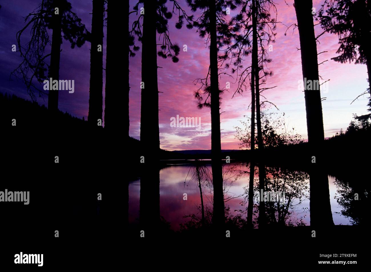 Sunrise on Suttle Lake, Deschutes National Forest, Oregon Stock Photo ...