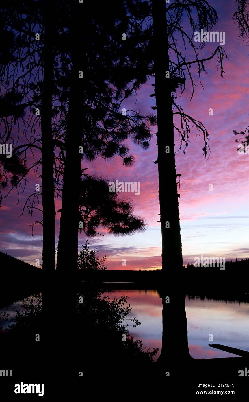 Sunrise on Suttle Lake, Deschutes National Forest, Oregon Stock Photo ...