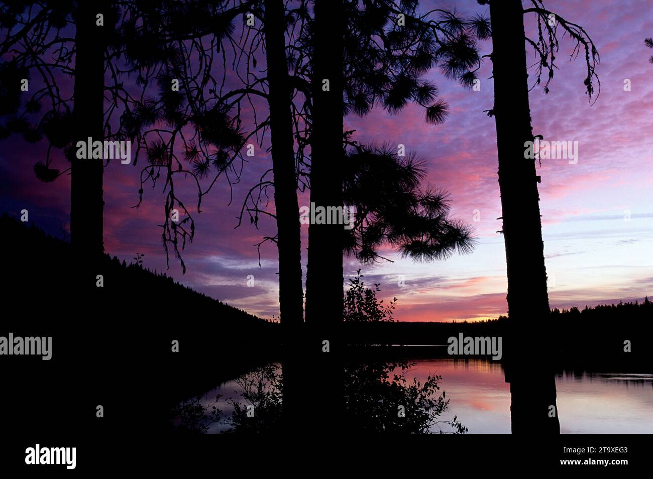 Sunrise on Suttle Lake, Deschutes National Forest, Oregon Stock Photo ...