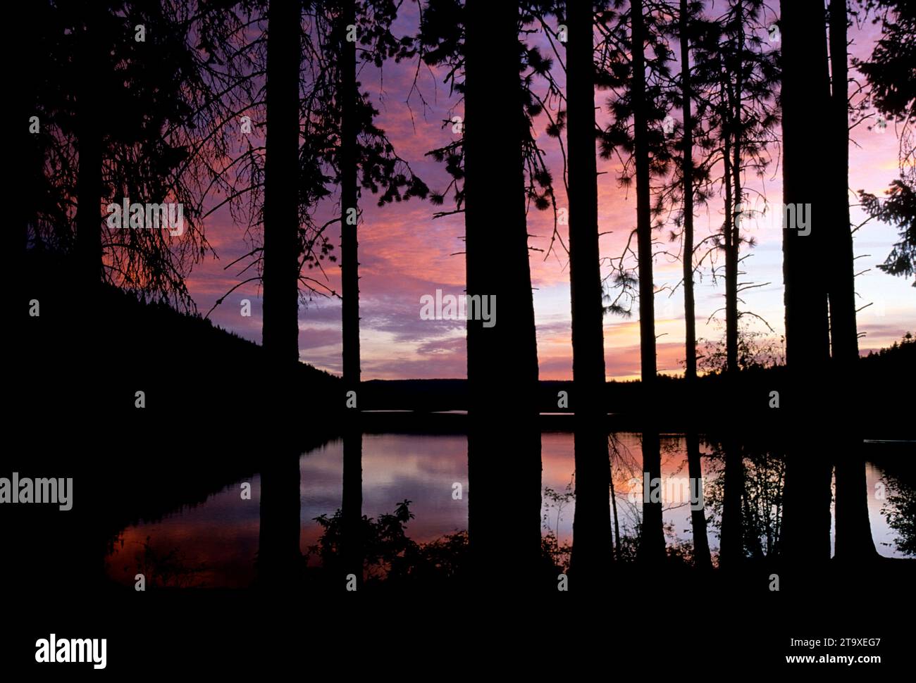 Sunrise on Suttle Lake, Deschutes National Forest, Oregon Stock Photo ...