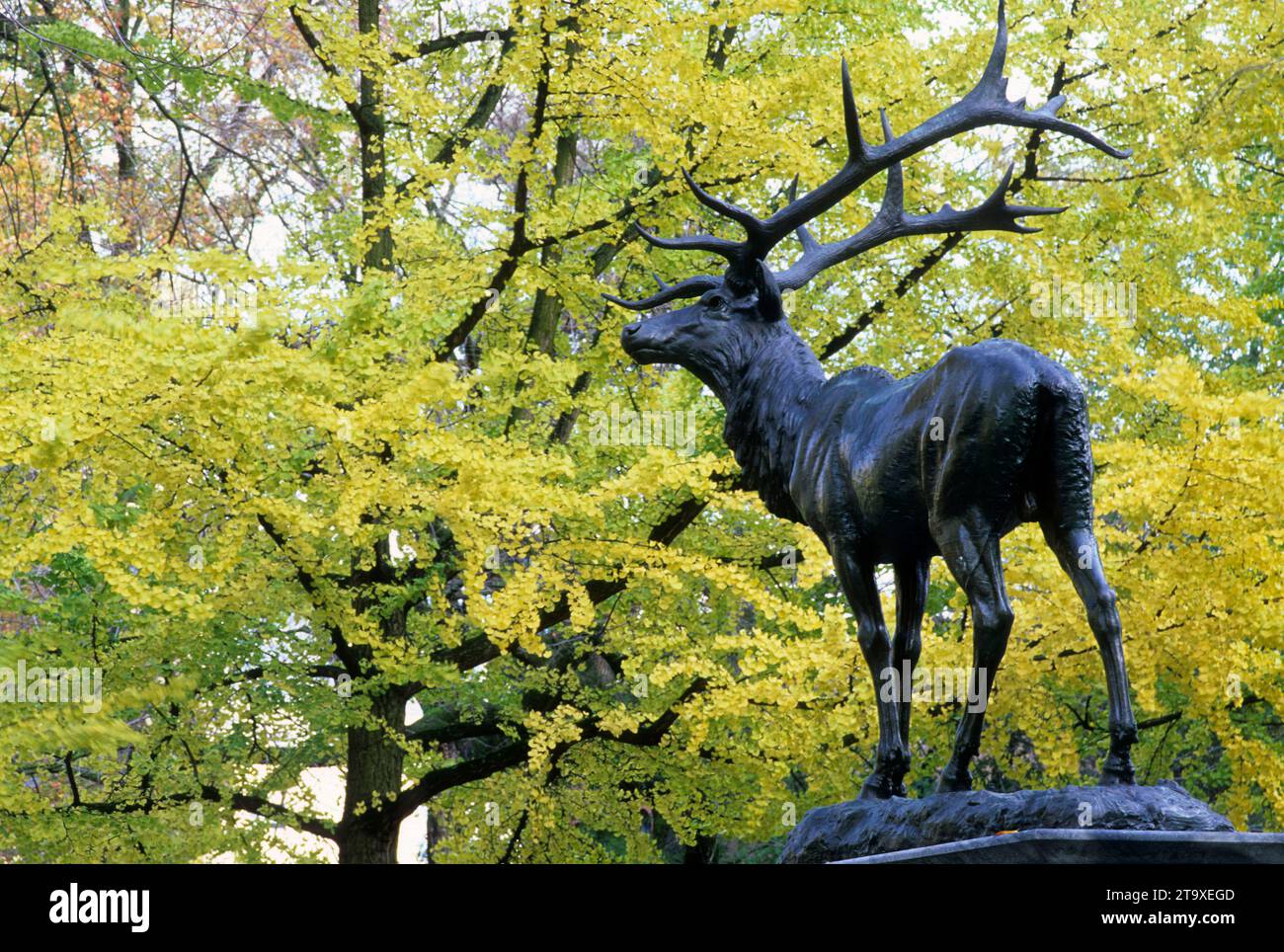 David p thompson memorial fountain hi-res stock photography and images ...
