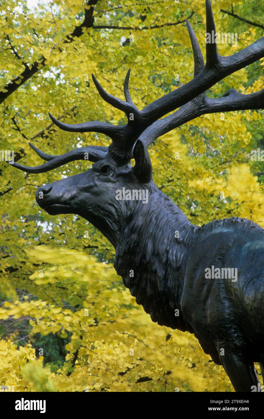 David p thompson memorial fountain hi-res stock photography and images ...
