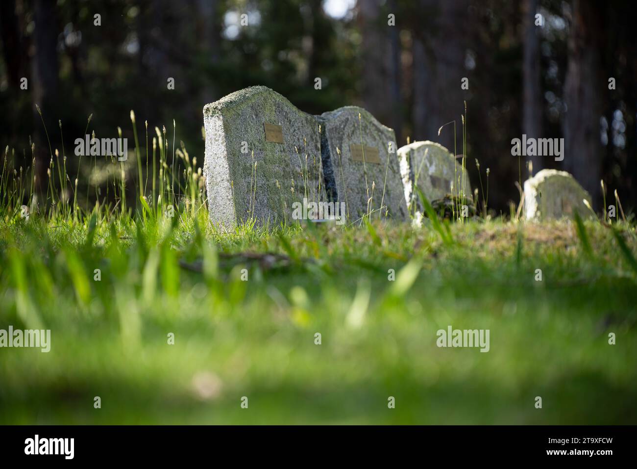 gravestone in a cemetery, with large marble tombstone. with other ...