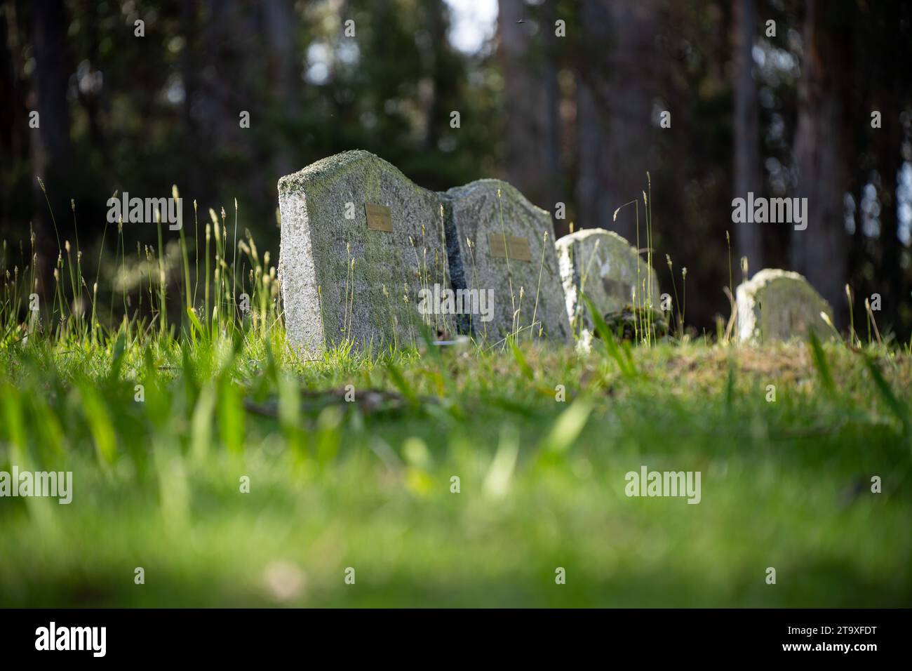 gravestone in a cemetery, with large marble tombstone. with other ...