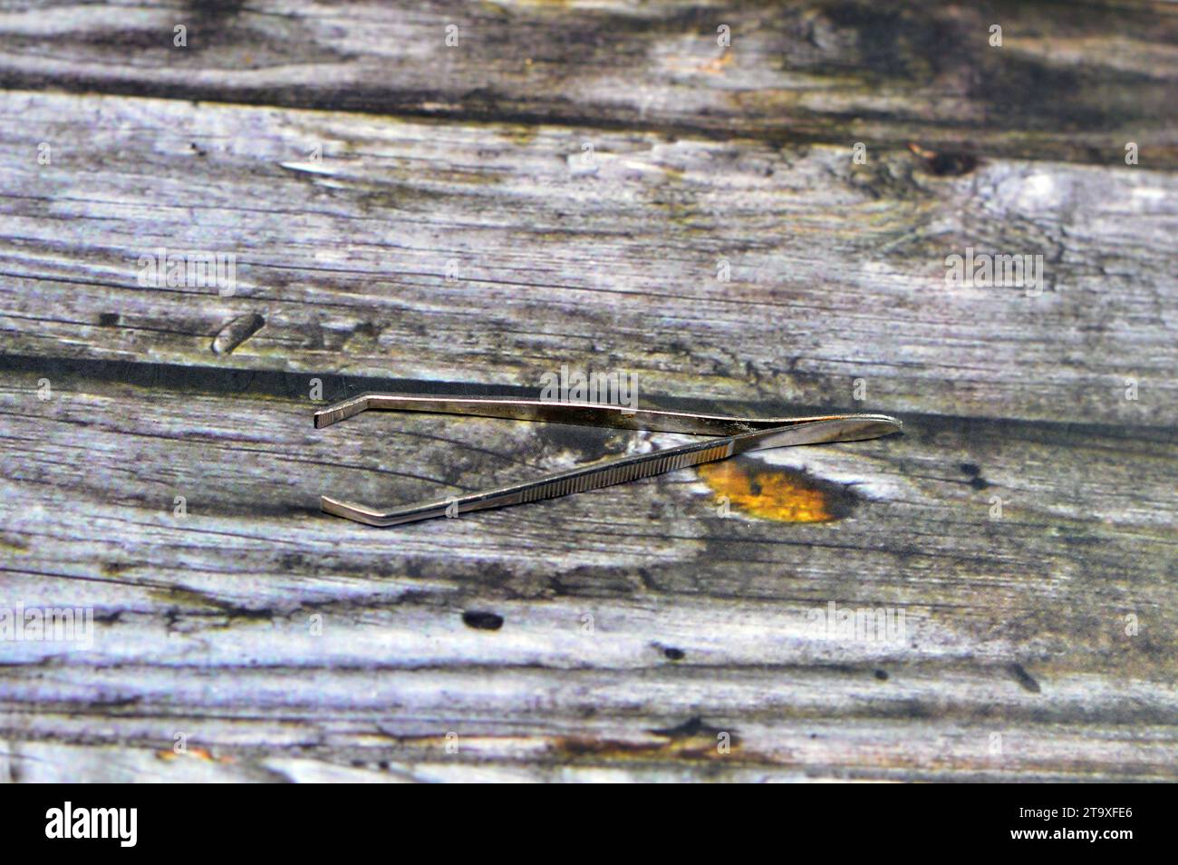 Tweezers, small hand tools used for grasping objects too small to be ...