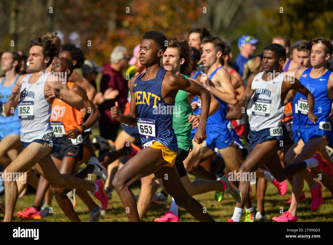 Charlottesville, VA - November 18th: The start of the men's 10km 2023 ...