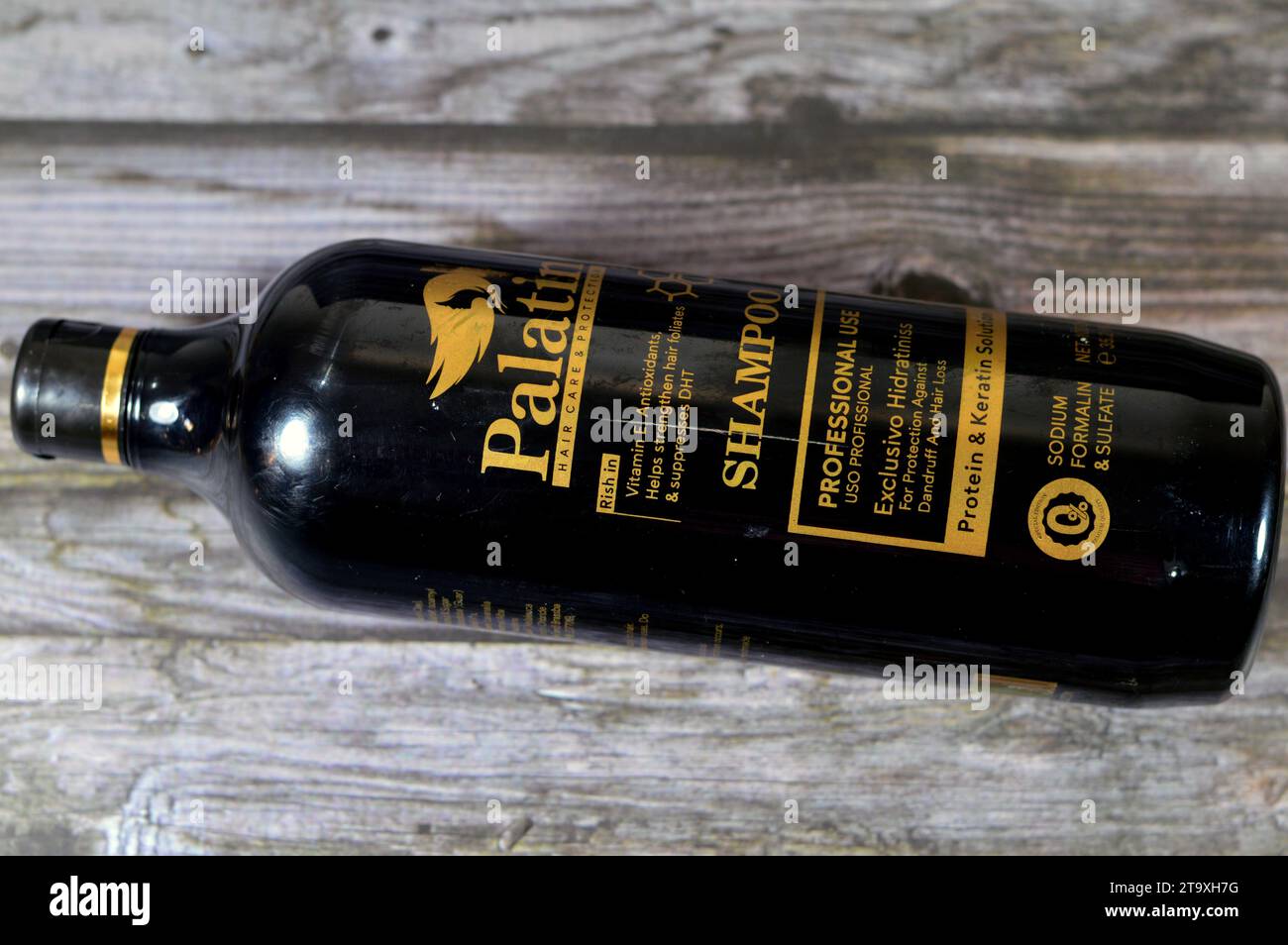 Cairo, Egypt, November 6 2023: Palatin Shampoo, rich in Vitamin E ...