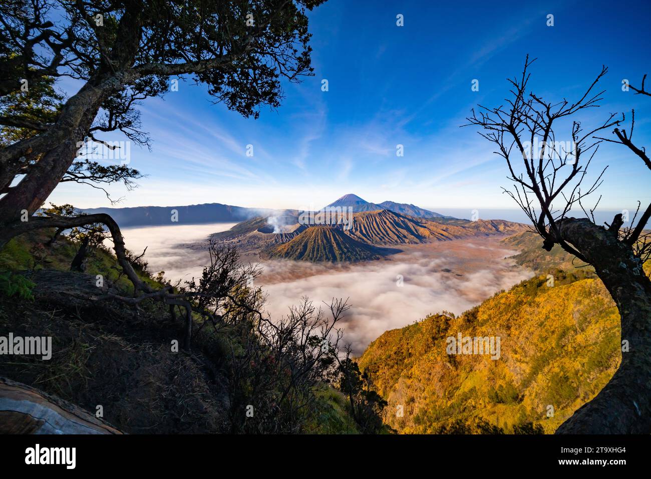 Amazing Mount Bromo volcano during sunny sky from king kong viewpoint on Mountain Penanjakan in ...