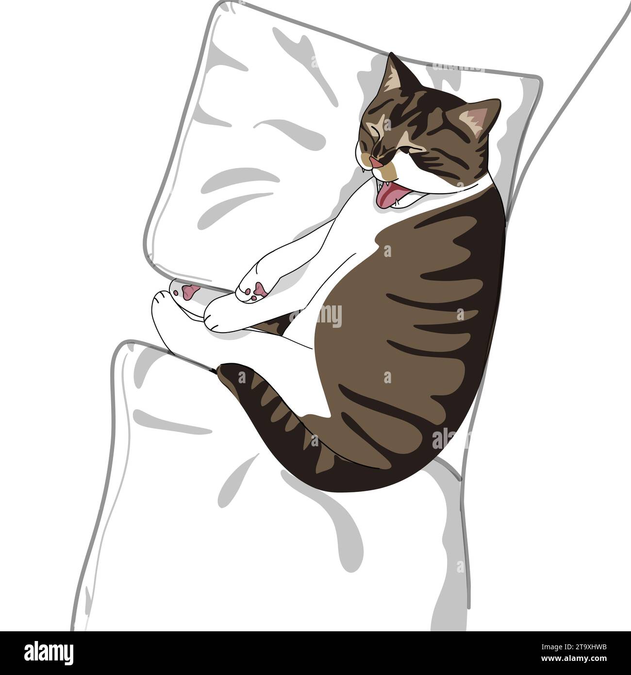 Cute cat yawning waking up from a nap illustration Stock Photo - Alamy