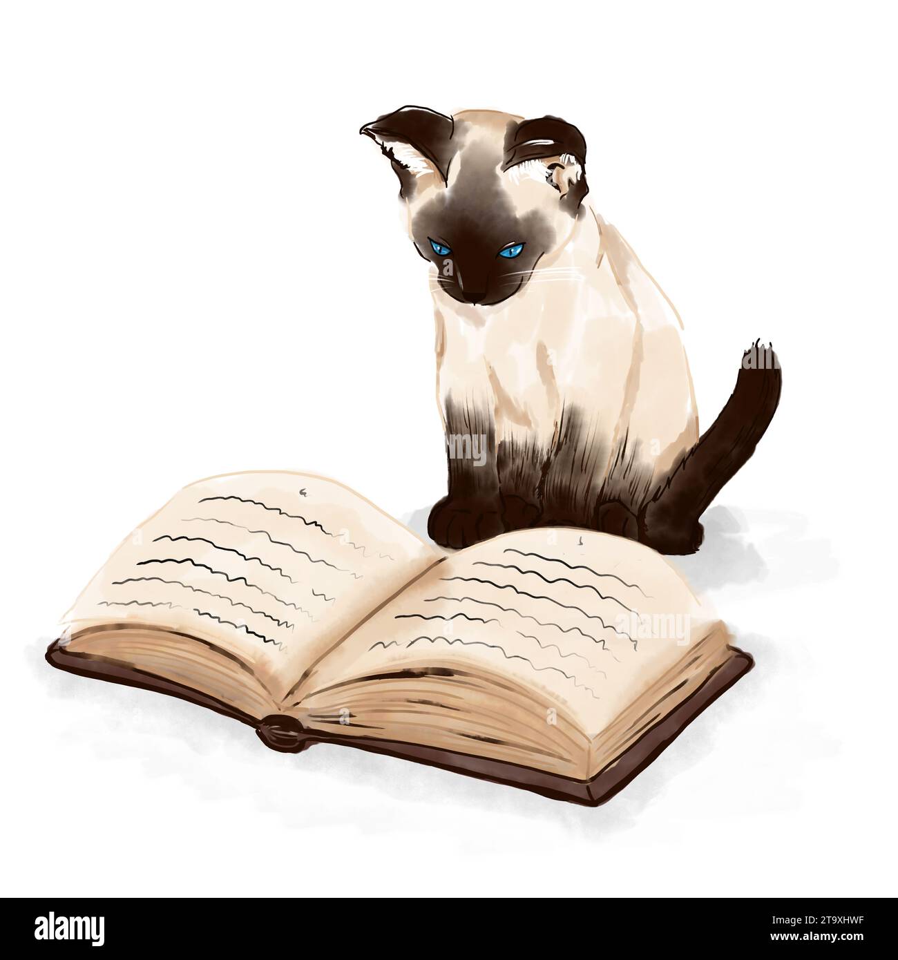 Cute little siamese kitten reading a book Stock Photo - Alamy