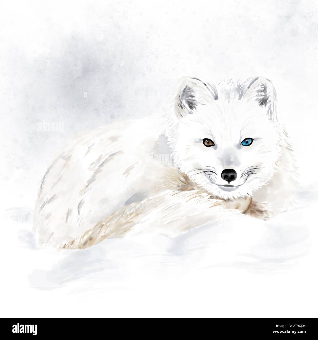 White fluffy arctic fox Cut Out Stock Images & Pictures - Alamy
