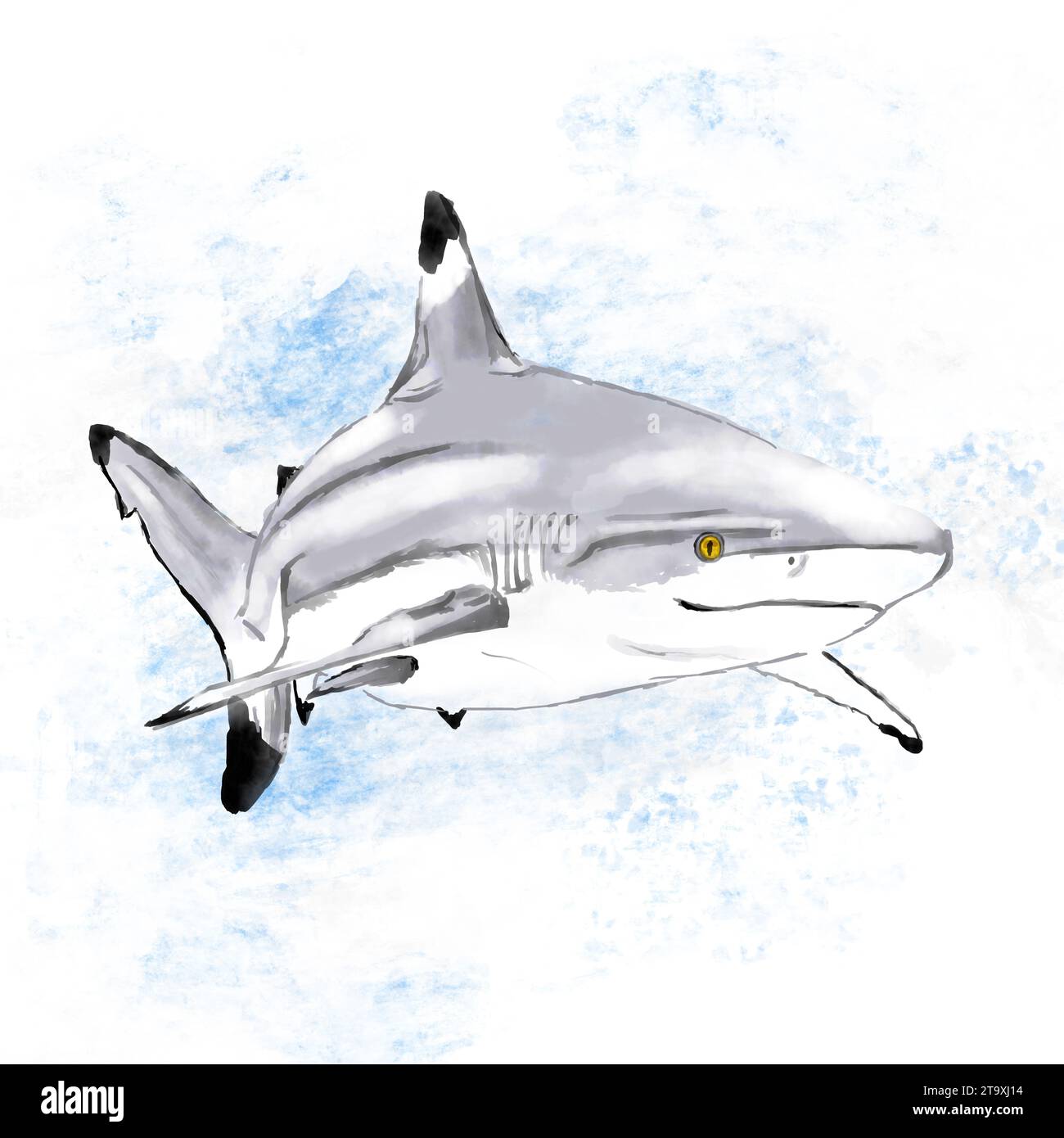 Reef ecosystems Cut Out Stock Images & Pictures - Alamy