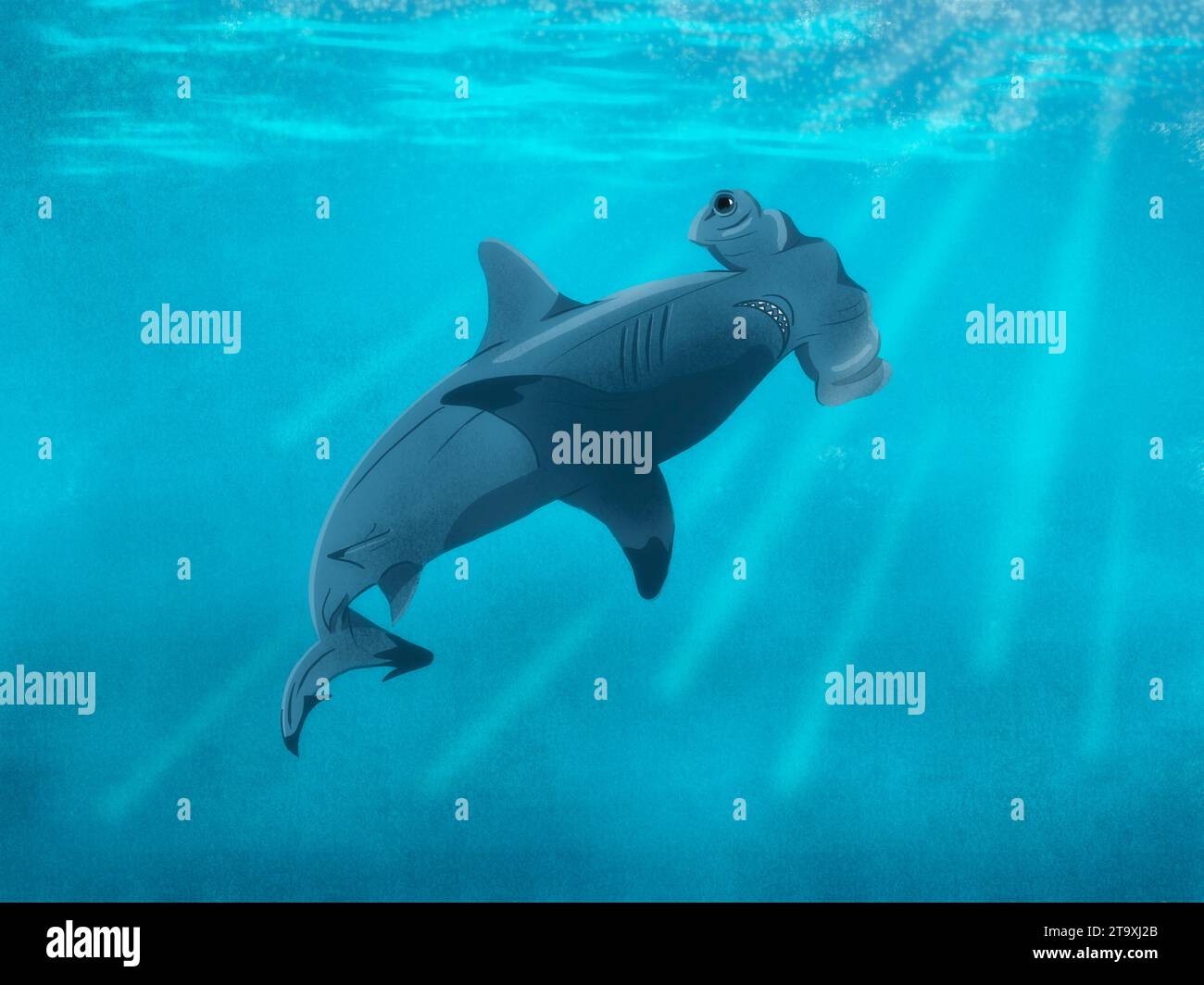 Large hammerhead shark swimming in the ocean illustration Stock Photo ...