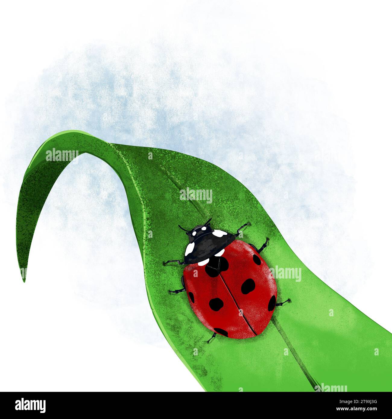 Cute little ladybug walking on a leaf illustration Stock Photo - Alamy