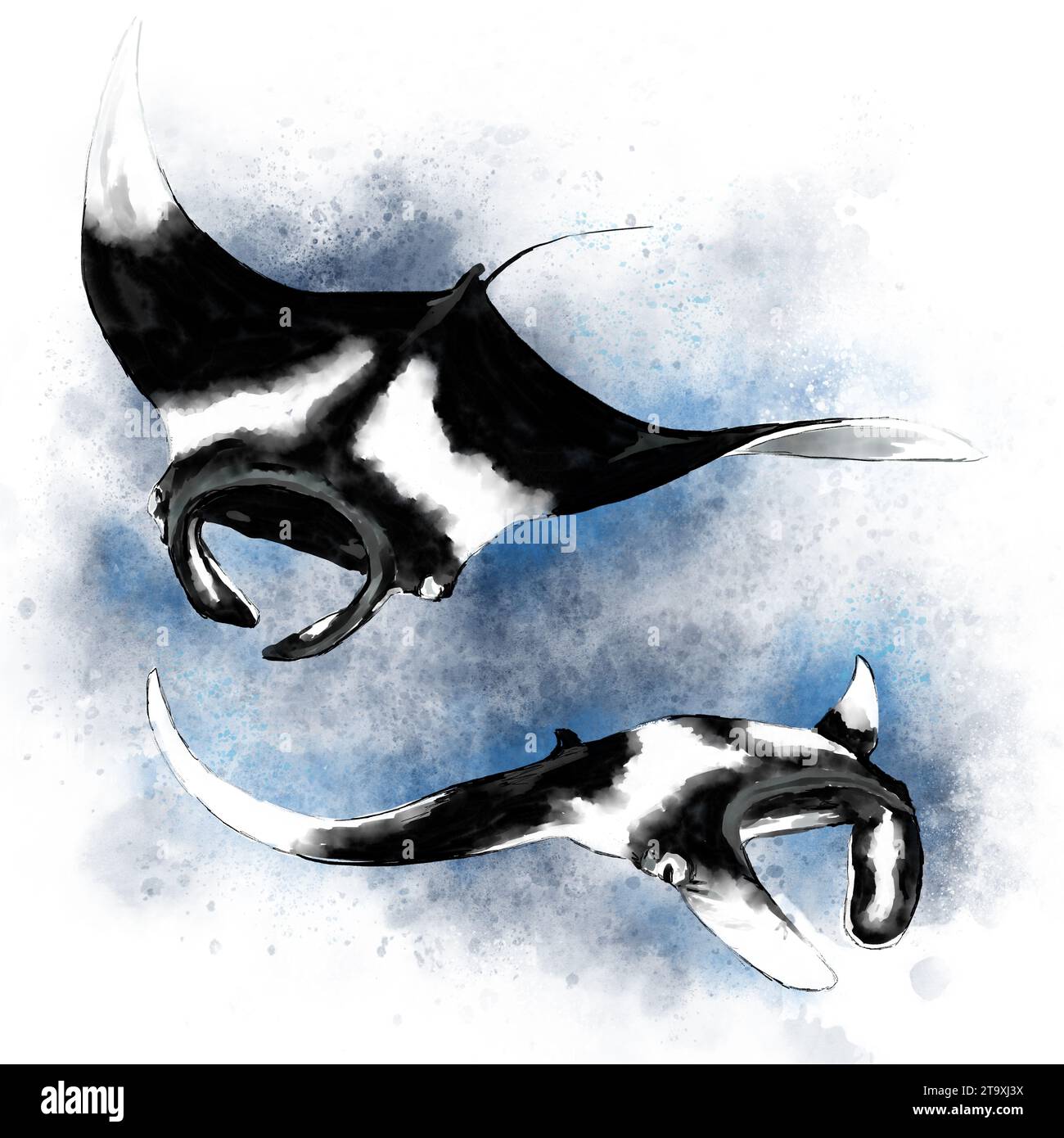 Ocean illustrations Cut Out Stock Images & Pictures - Alamy