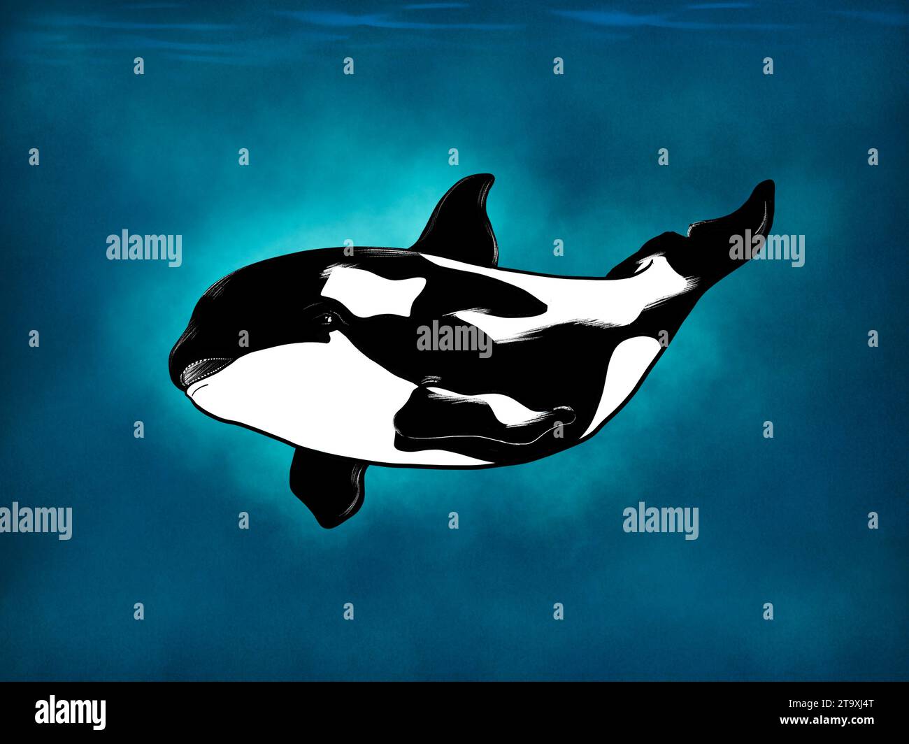 Beautiful orca swimming in the ocean illustration Stock Photo - Alamy
