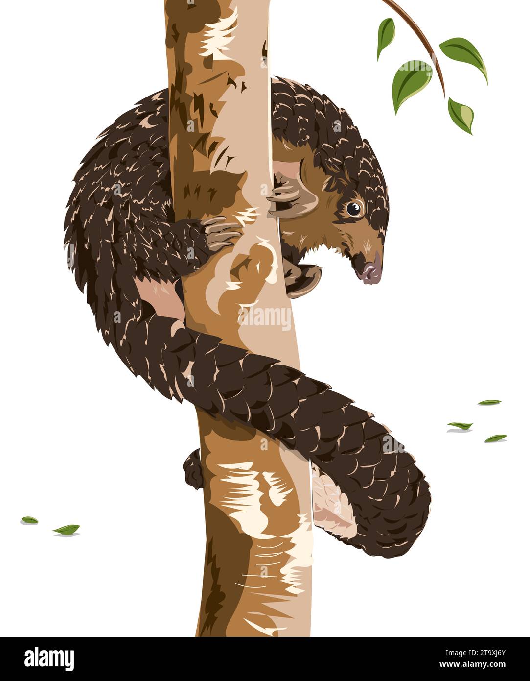 Pangolin on a tree branch illustration Stock Photo - Alamy