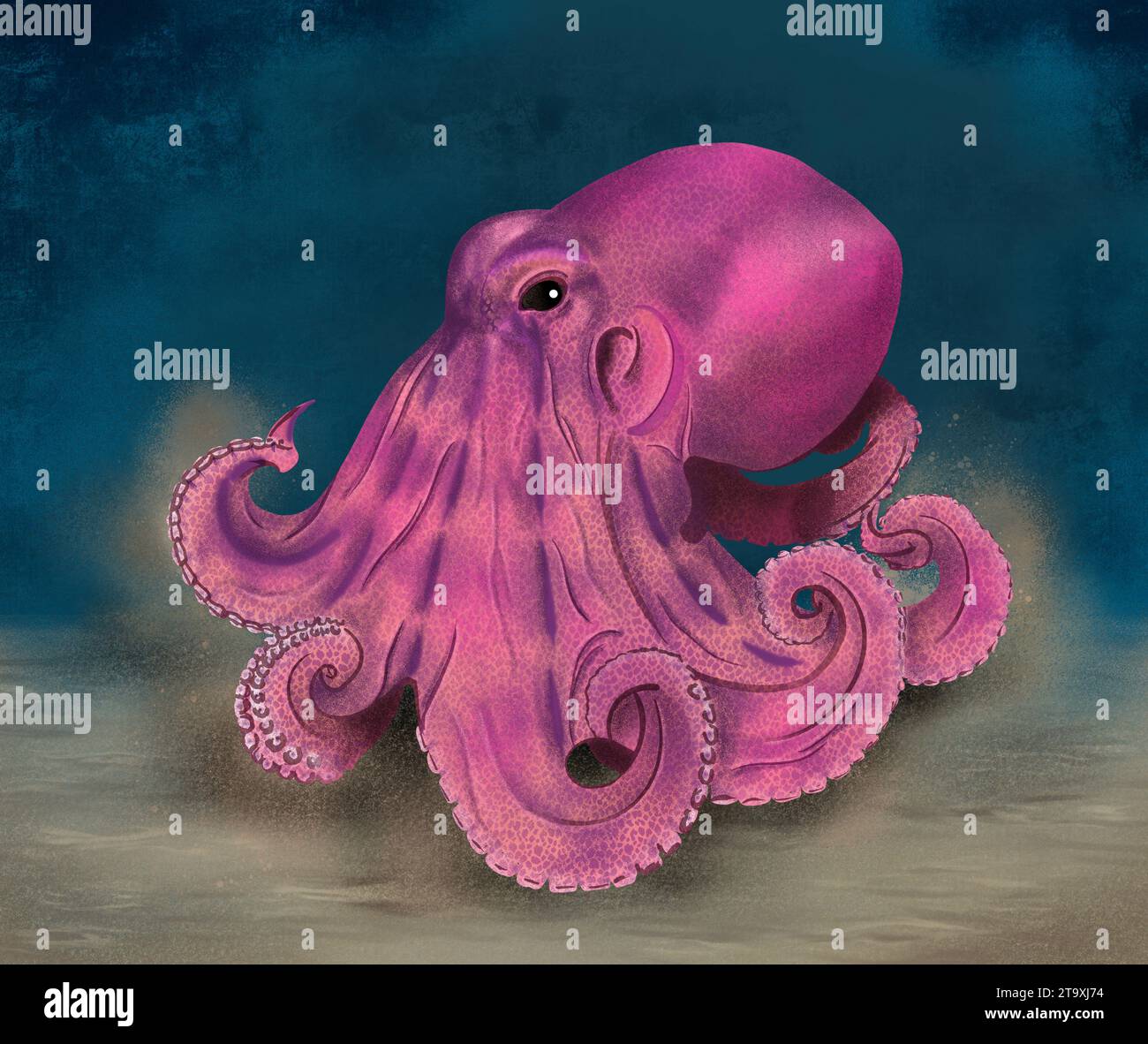 Pink octopus walking on the bottom of the ocean illustration Stock ...
