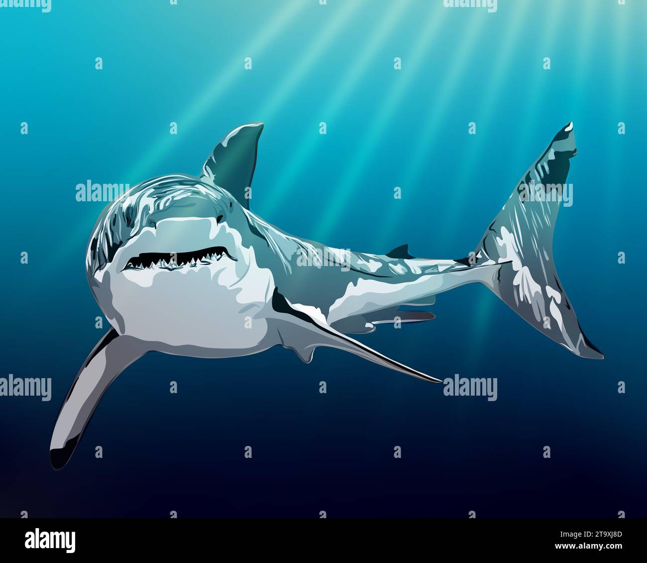 Great white shark swimming in the depths illustration Stock Photo - Alamy