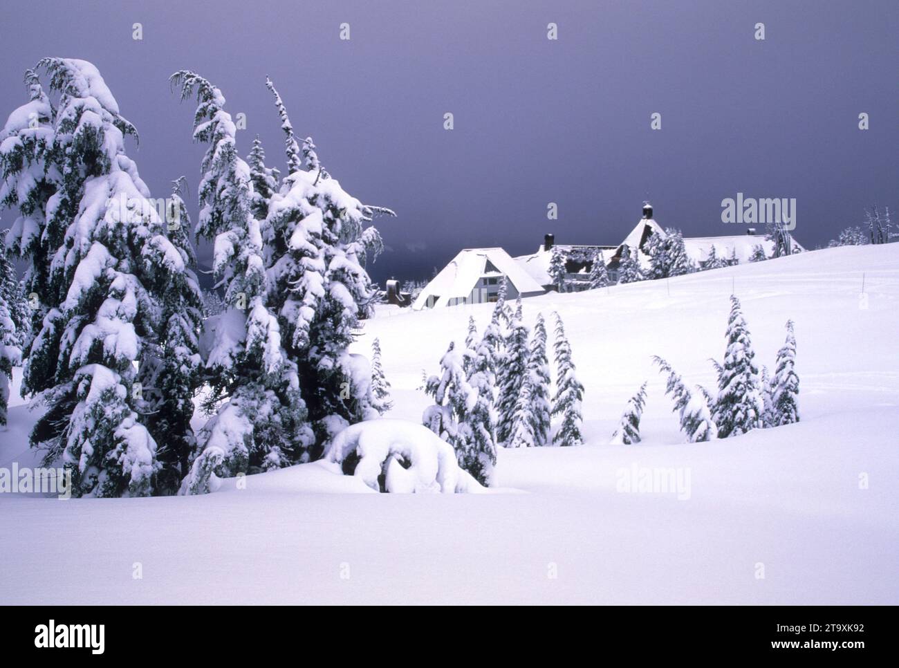 Timberline Lodge, Mt Hood National Forest, Oregon Stock Photo - Alamy