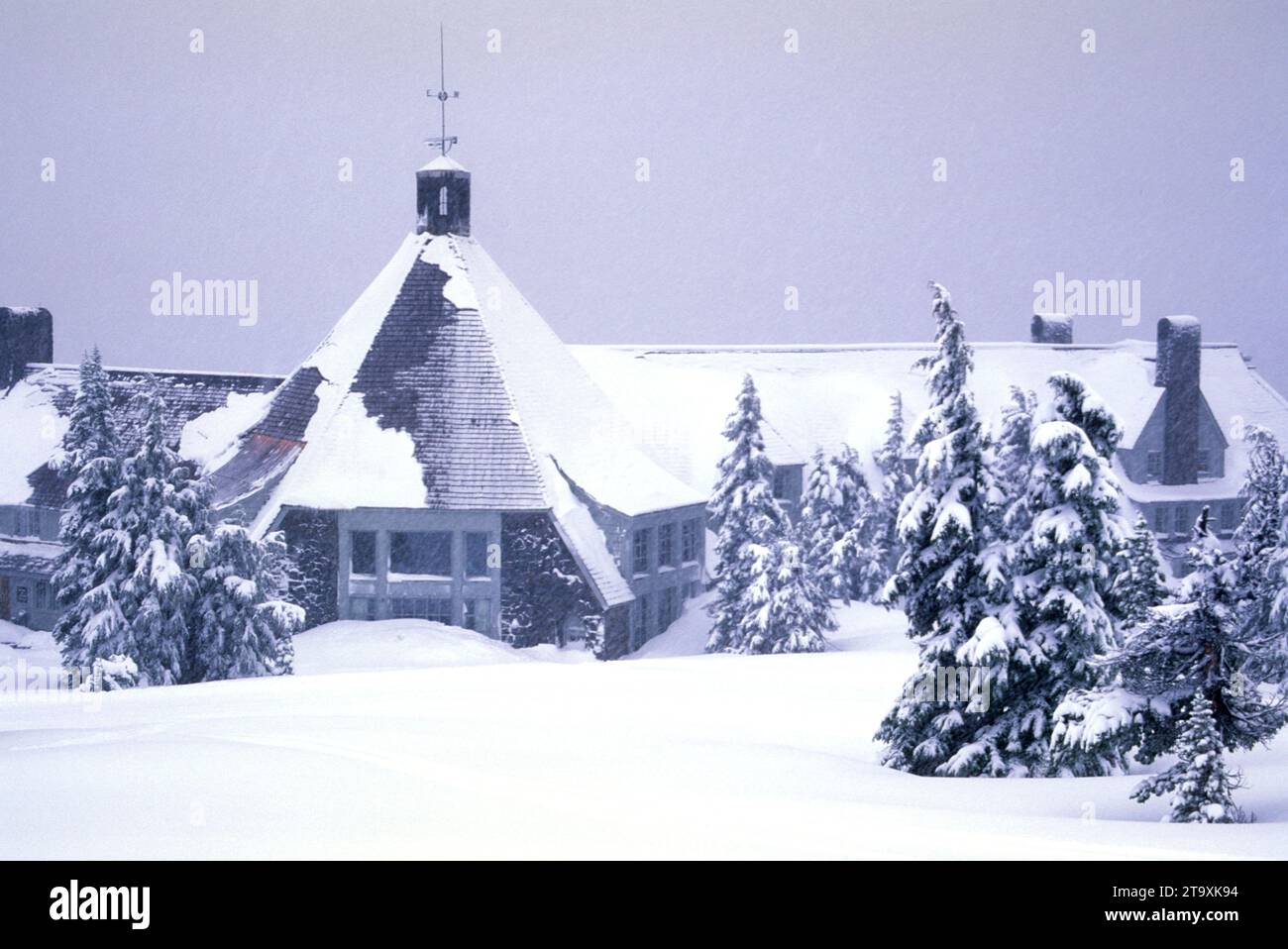 Timberline Lodge, Mt Hood National Forest, Oregon Stock Photo - Alamy