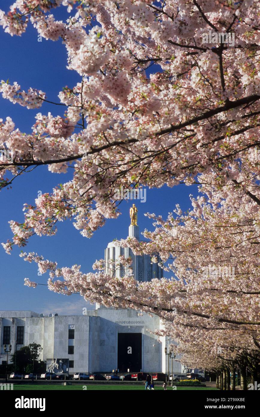 State capitol with cherry trees in bloom, State Capitol State Park ...
