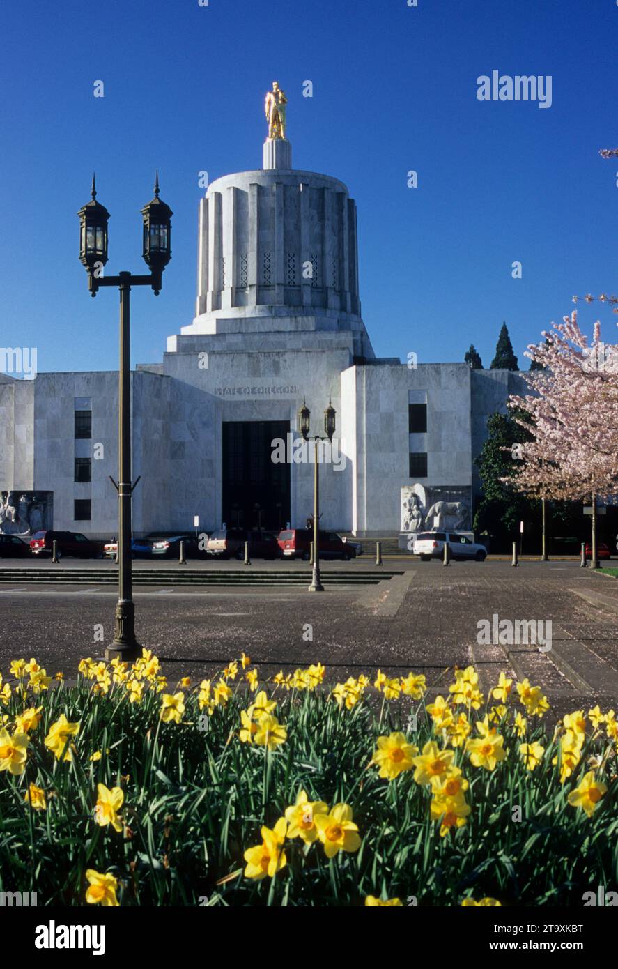 State capitol with daffodils, State Capitol State Park, Salem, Oregon ...