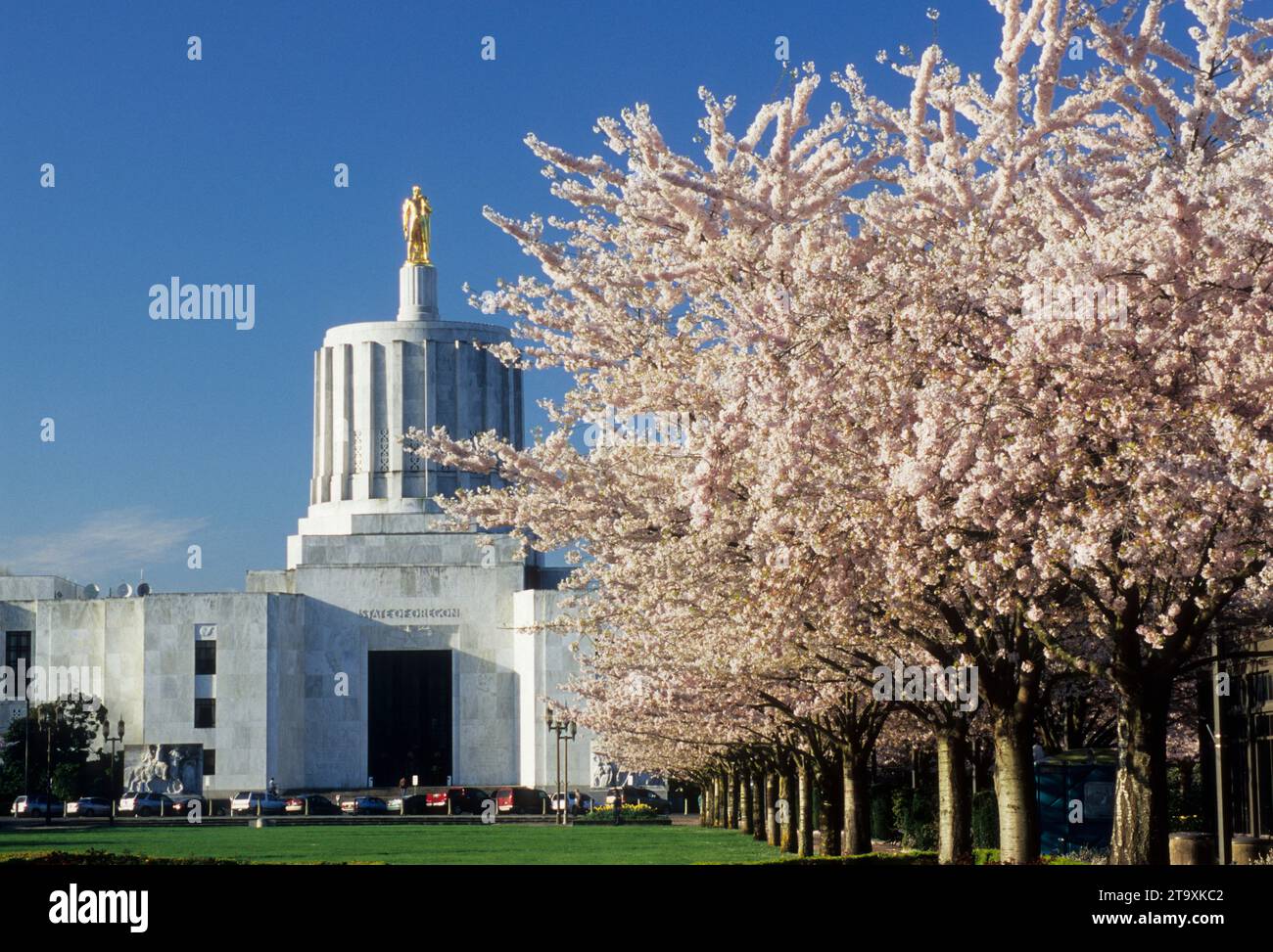 State capitol with cherry trees in bloom, State Capitol State Park ...