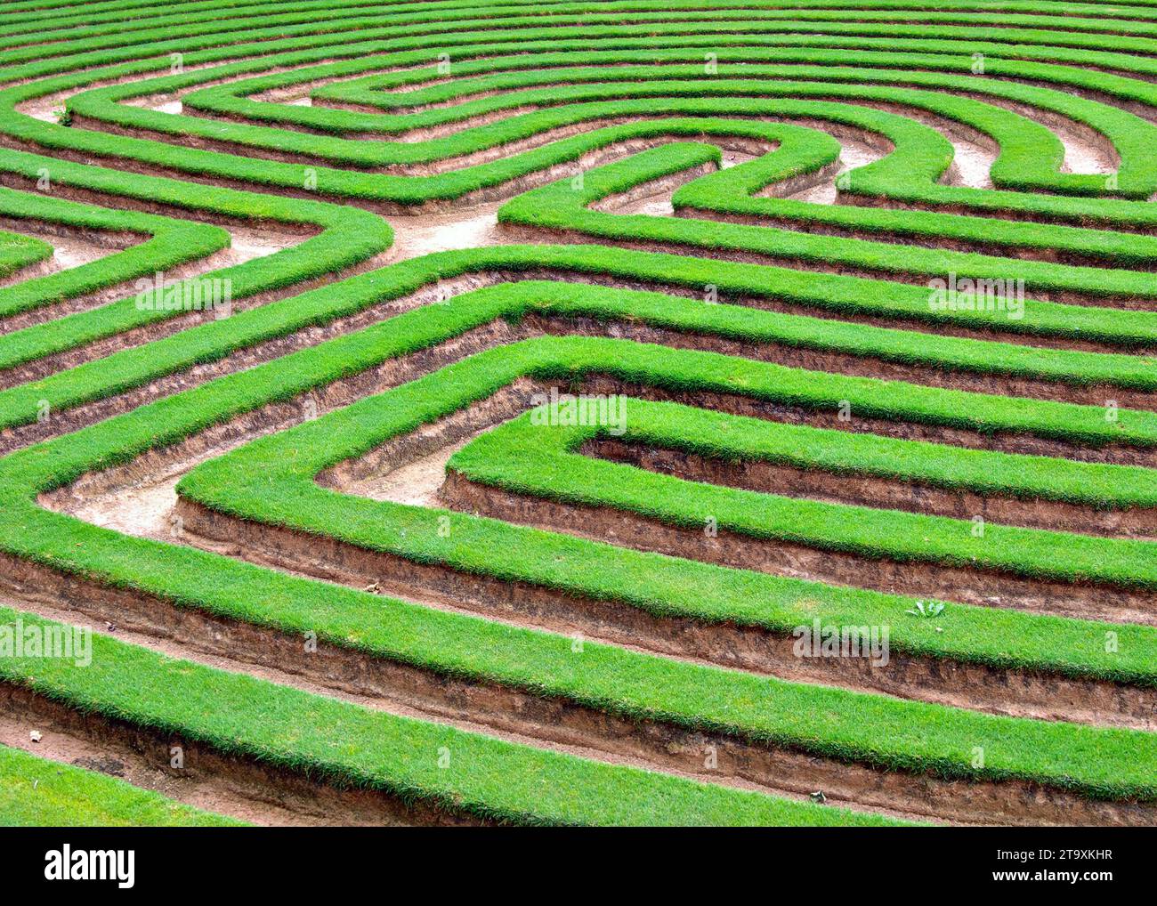 grass lawn cut into a maze like puzzle pattern Stock Photo - Alamy