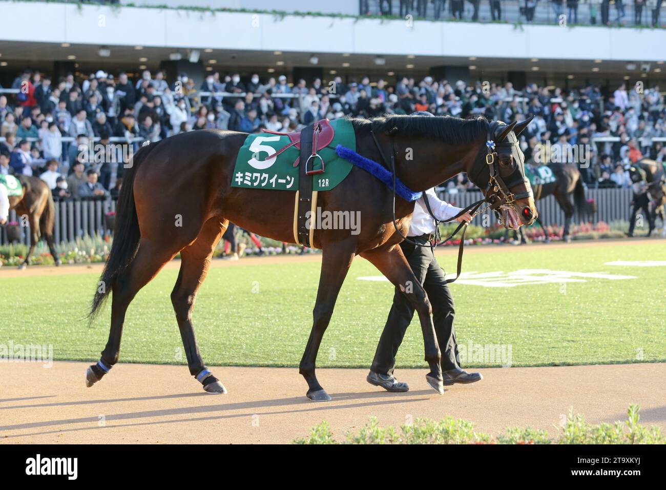 Kyoto, Japan. 26th Nov, 2023. 2023/11/26 KYOTO 12R THE KEIHAN HAI ...