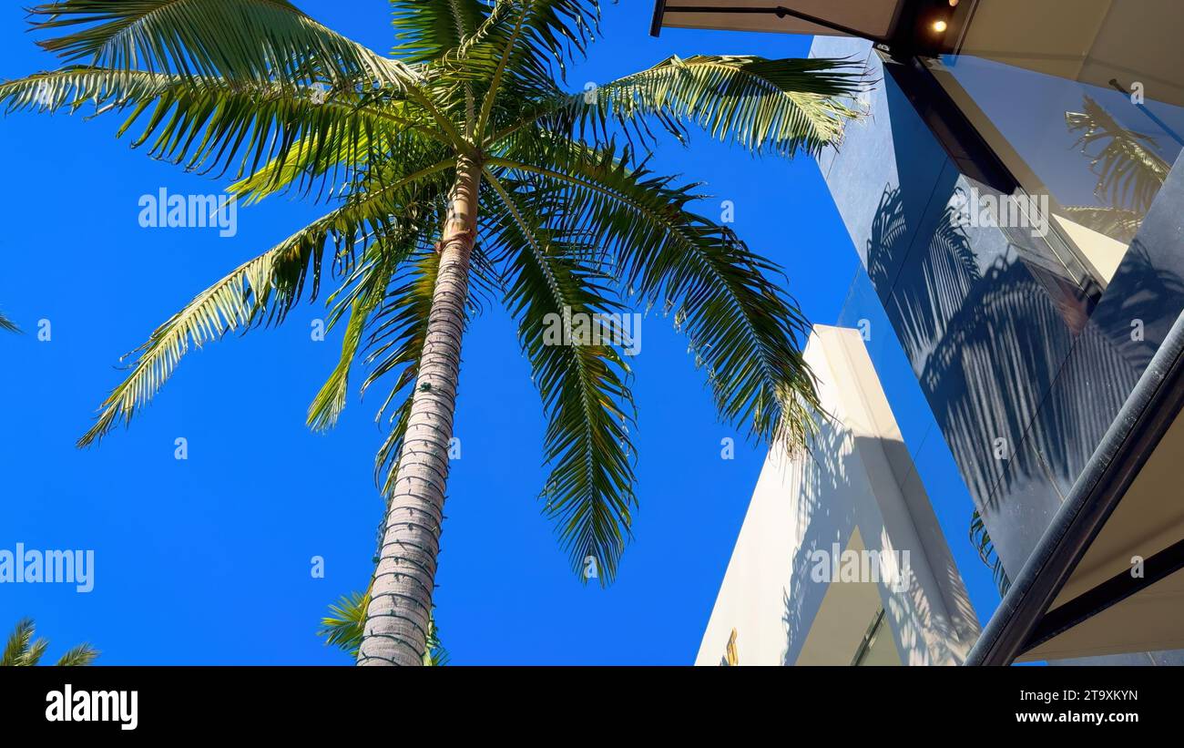 Rodeo drive woman in the street hi-res stock photography and images - Alamy