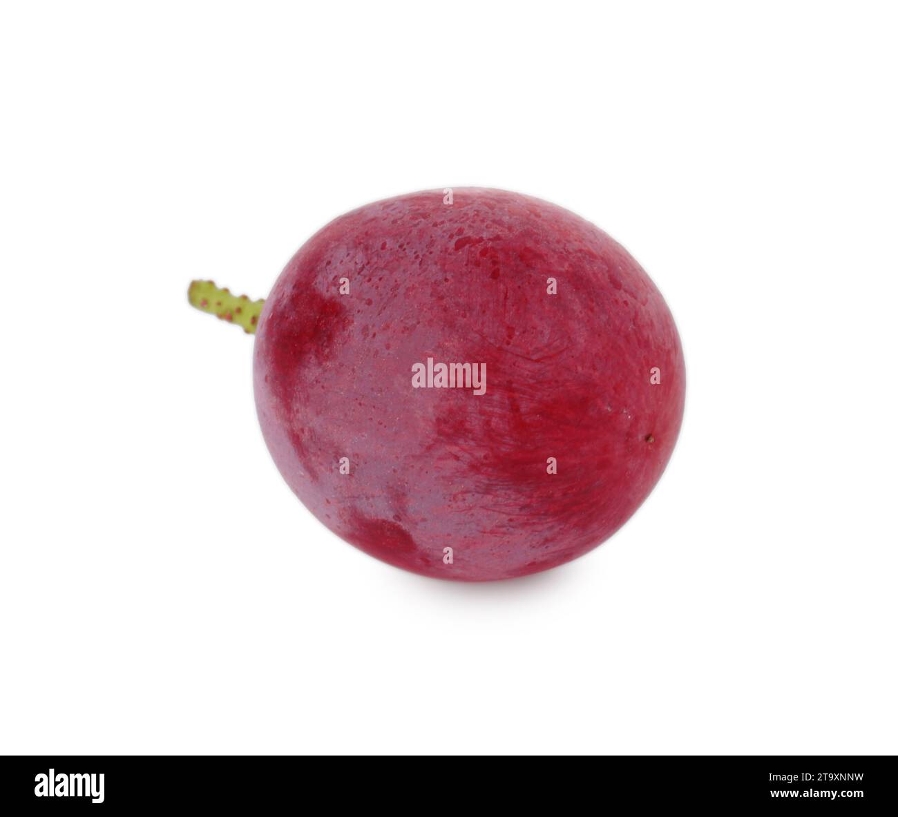 One ripe red grape isolated on white Stock Photo - Alamy