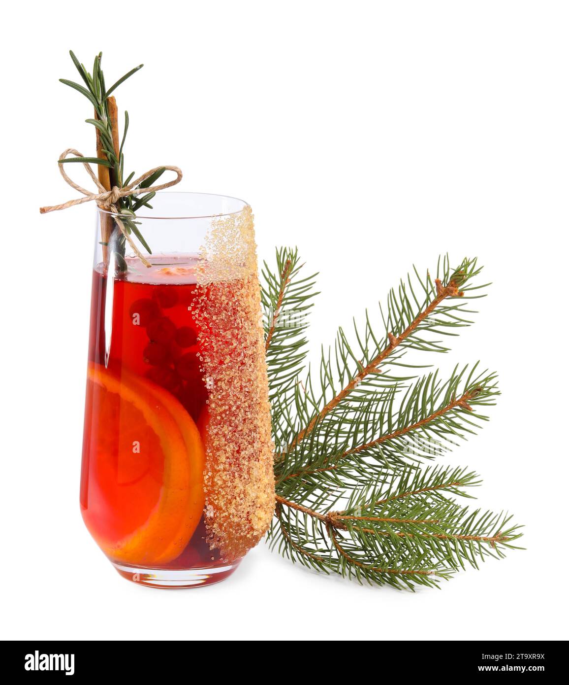 Fir tree branch cinnamon Cut Out Stock Images & Pictures - Alamy