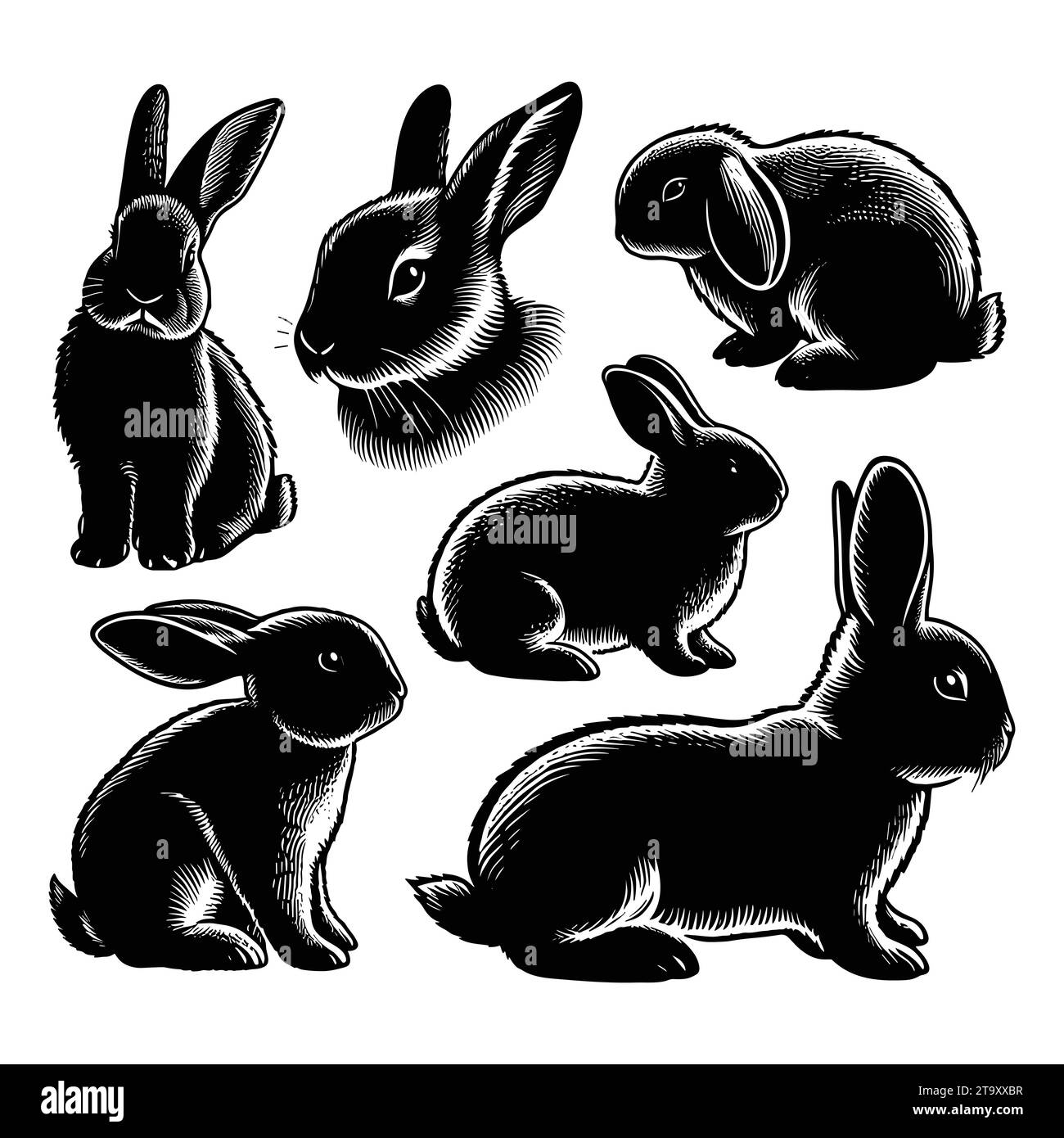 Set of bunny silhouettes isolated on a white background, Vector ...
