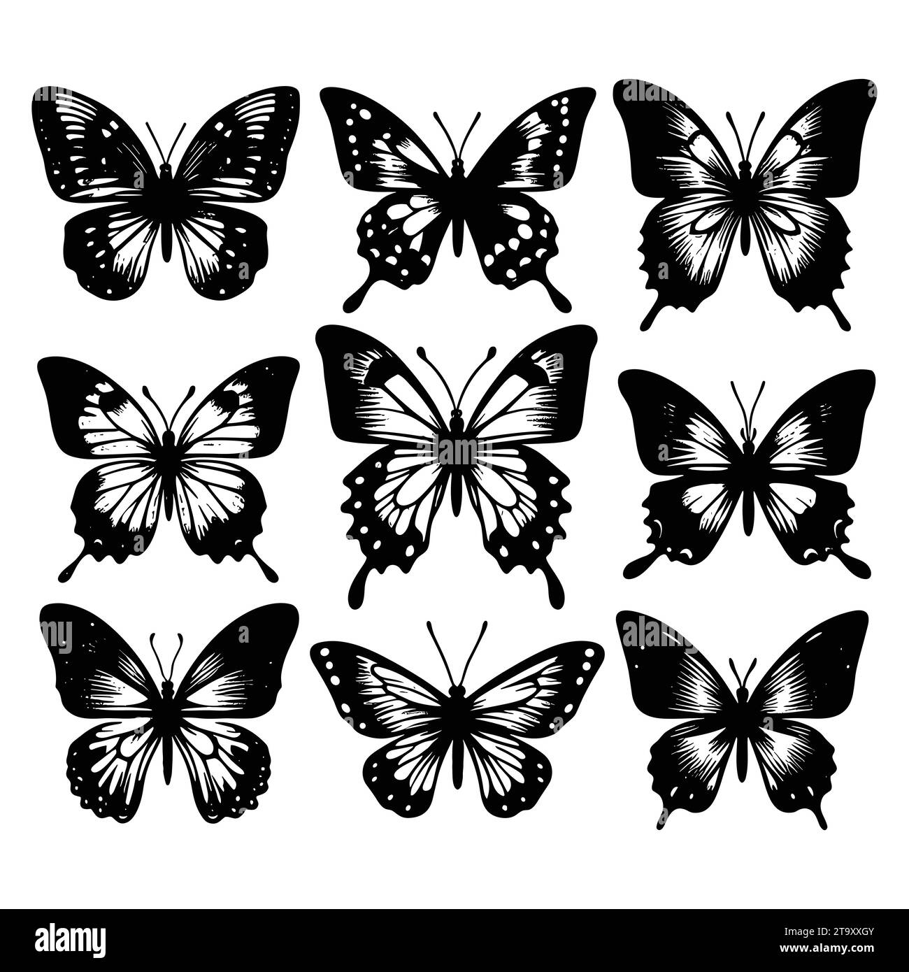 Set of Butterfly silhouettes isolated on a white background, Vector ...