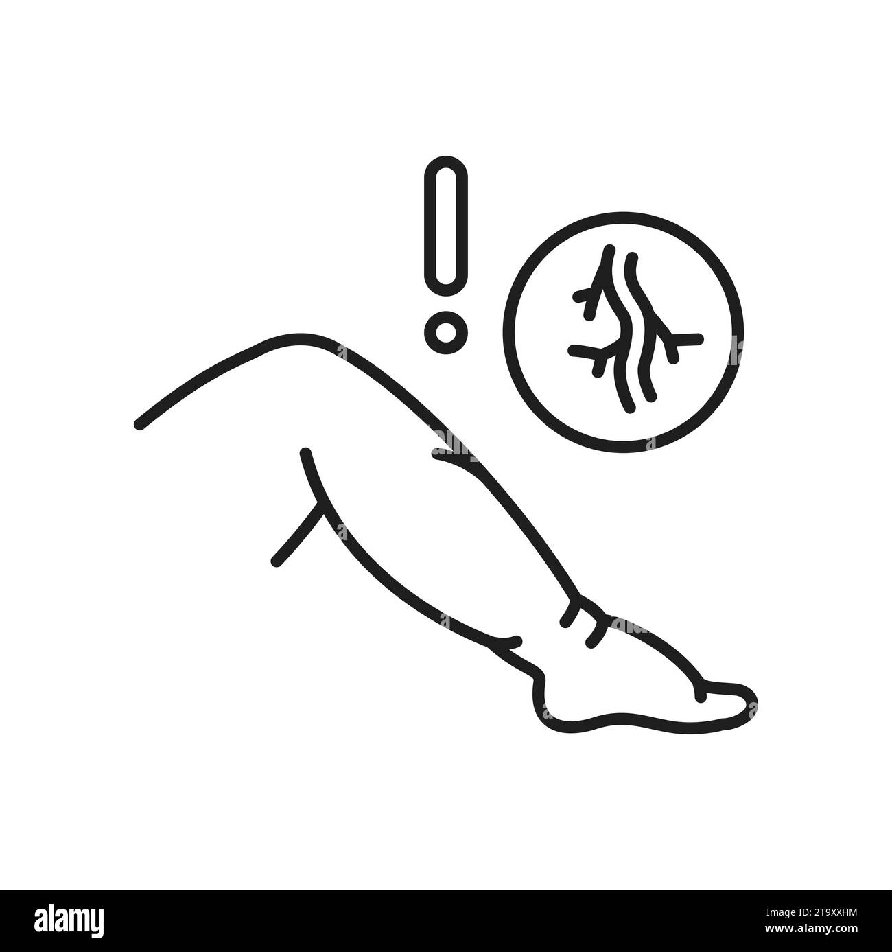 Venous mesh Stock Vector Images - Alamy