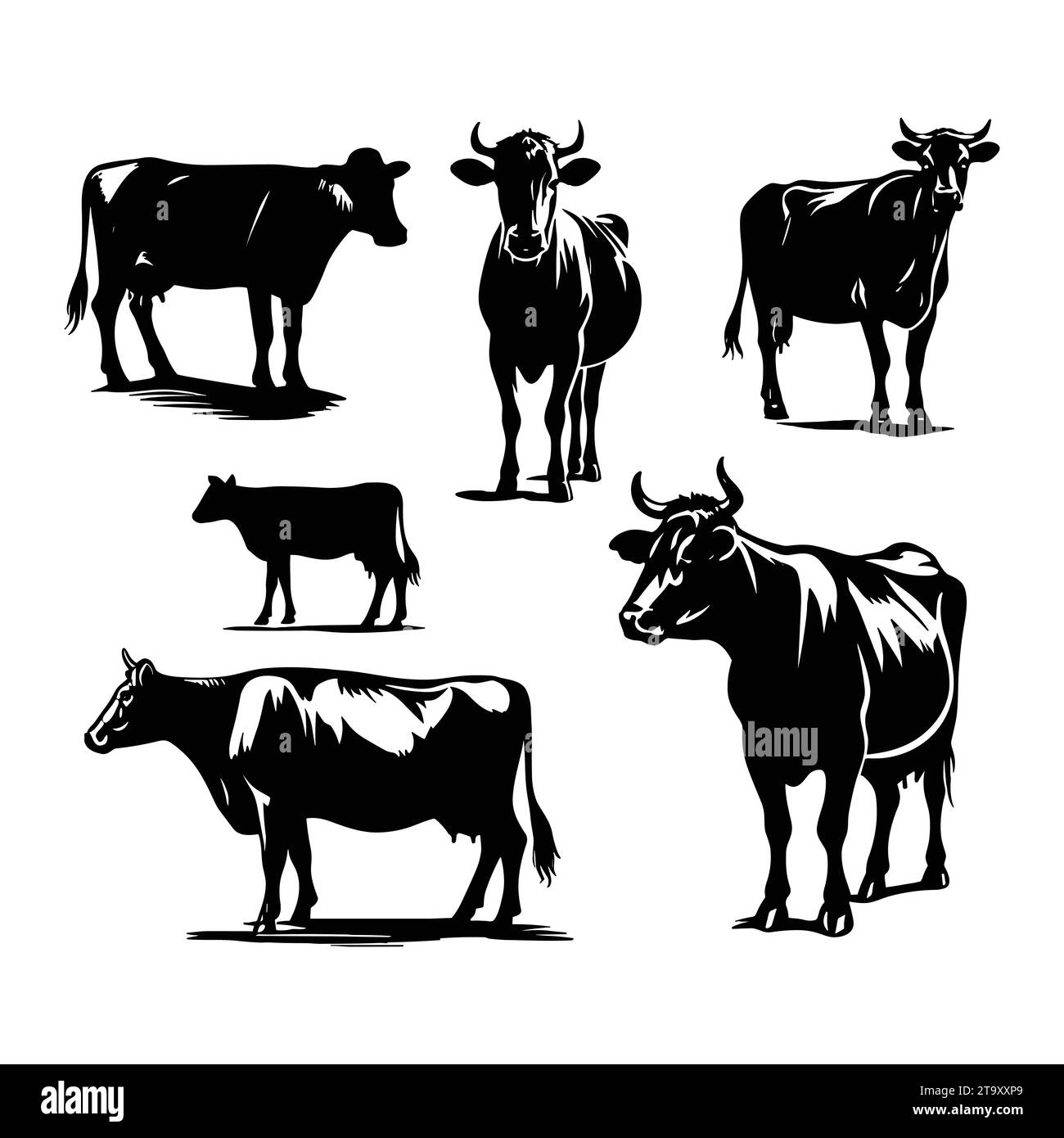 Set of cow silhouettes isolated on a white background, Vector ...