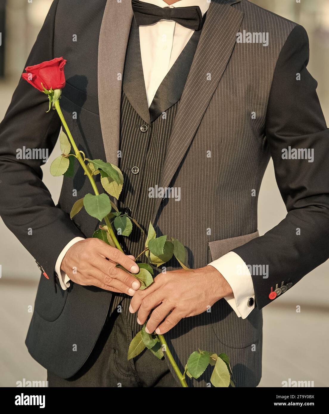 proposal concept. cropped view of black tuxedo man making a proposal ...