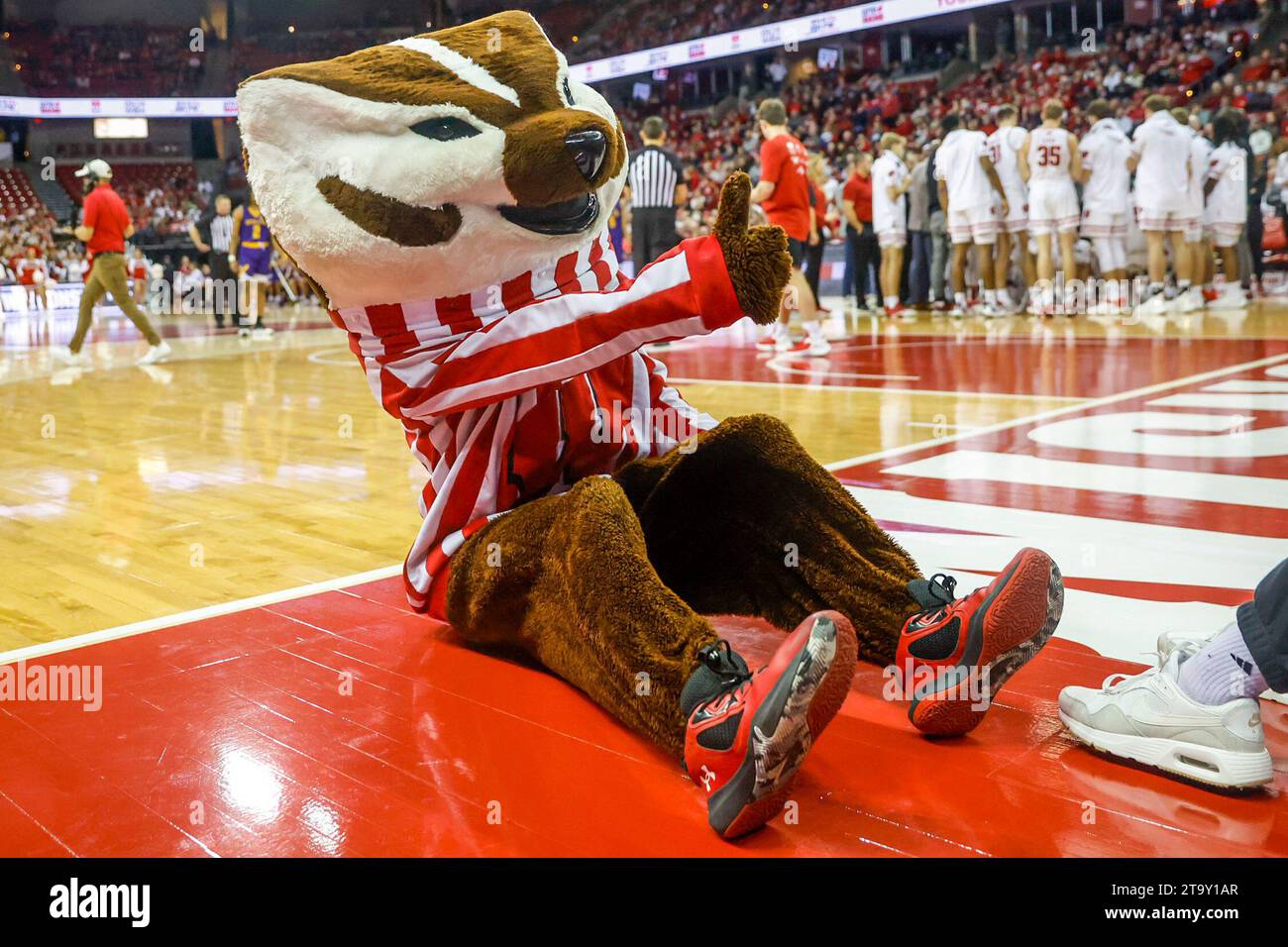 MADISON, WI - NOVEMBER 27: Wisconsin mascot Bucky Badger poses for the ...