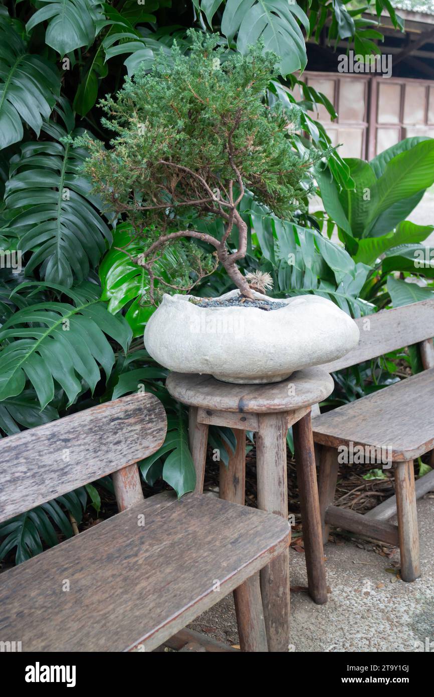 Interior of cozy coffee shop atmosphere, stock photo Stock Photo - Alamy