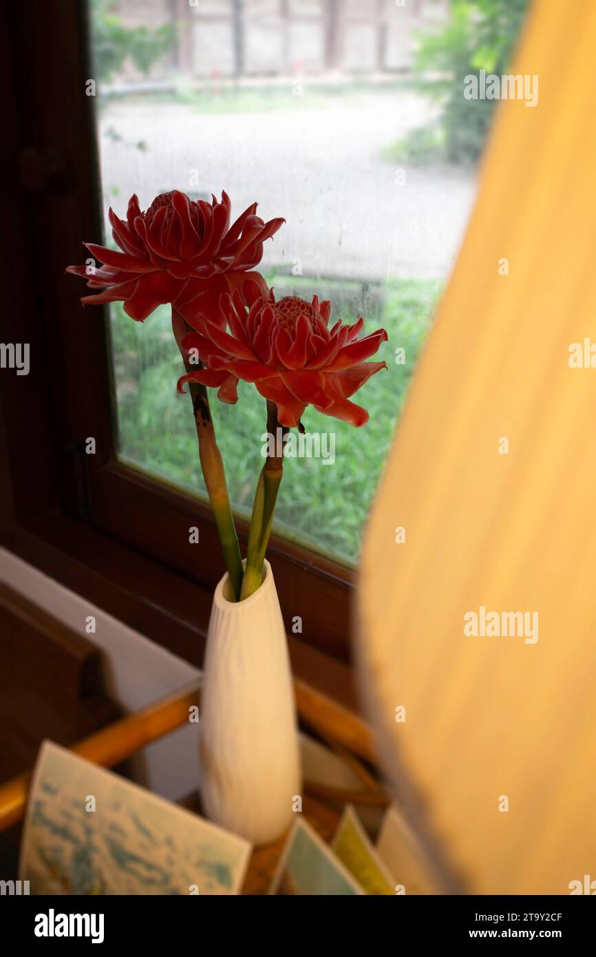 Interior of cozy coffee shop atmosphere, stock photo Stock Photo - Alamy