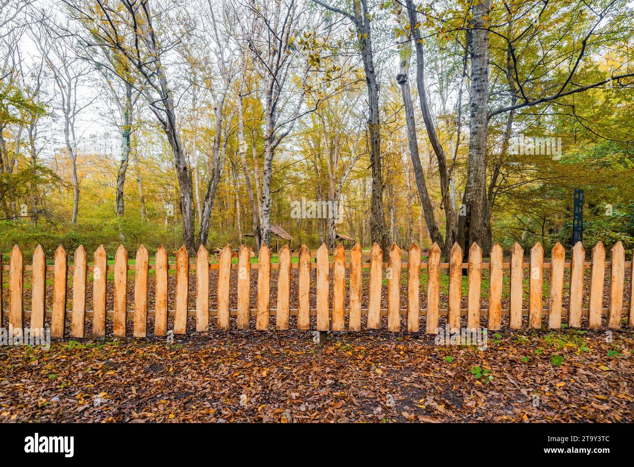 Serene autumn pasture fence hi-res stock photography and images - Alamy