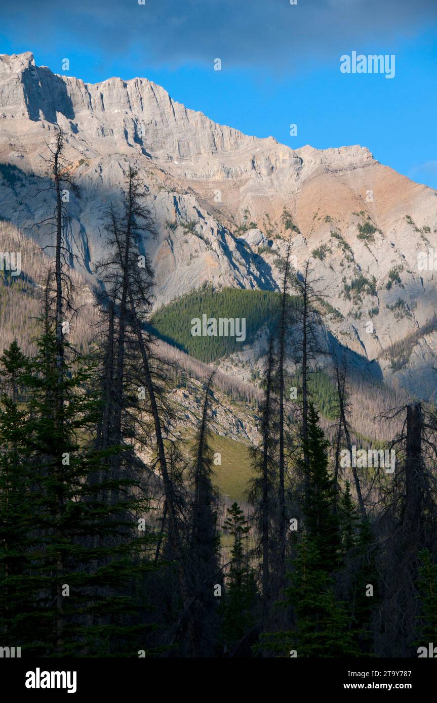 Mountain, Jasper National Park, Alberta, Canada Stock Photo - Alamy