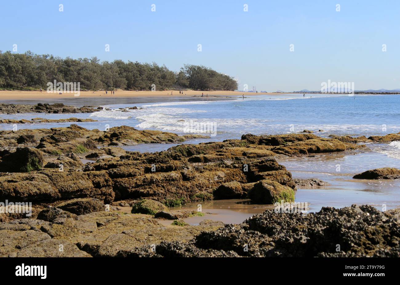 Beach seascape with rocks, trees, sand and the ocean Stock Photo - Alamy