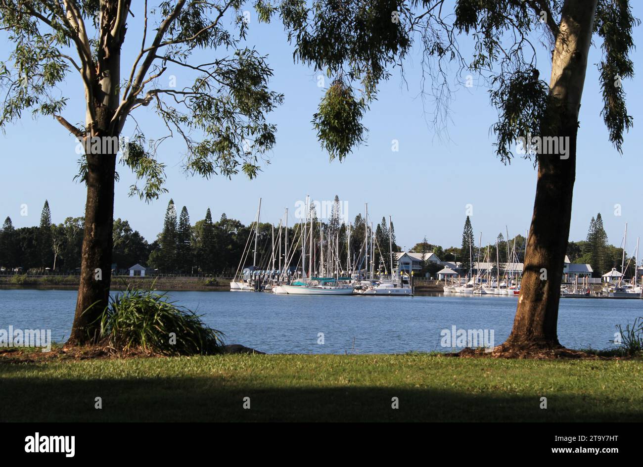 View of boats at the Gladstone Marina framed by trees in Queensland ...
