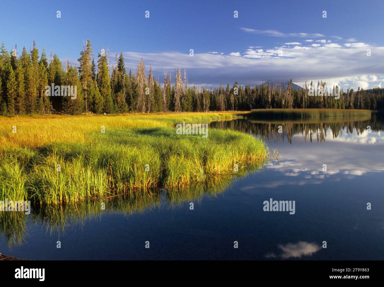 Little Lava Lake, Deschutes National Forest, Cascade Lakes National ...